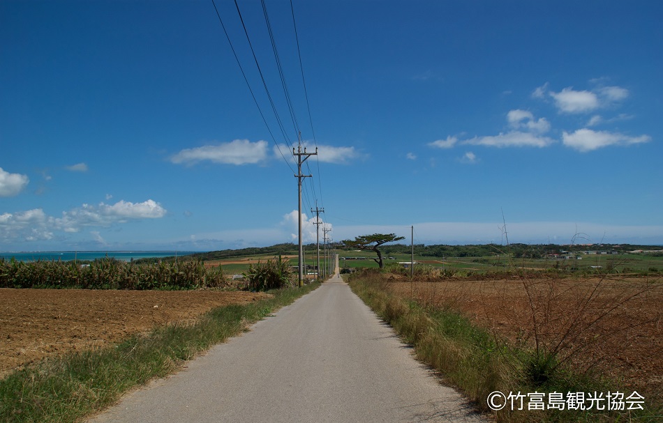 Okinawa Recommended tourist spots accessible with no car! - Japanican